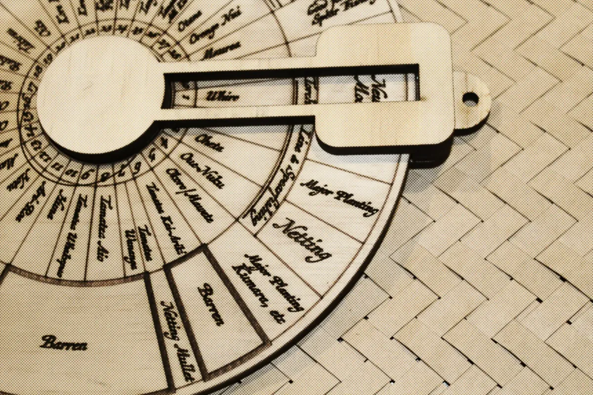 The New Zealand Māori Astrology Craze: A Case Study