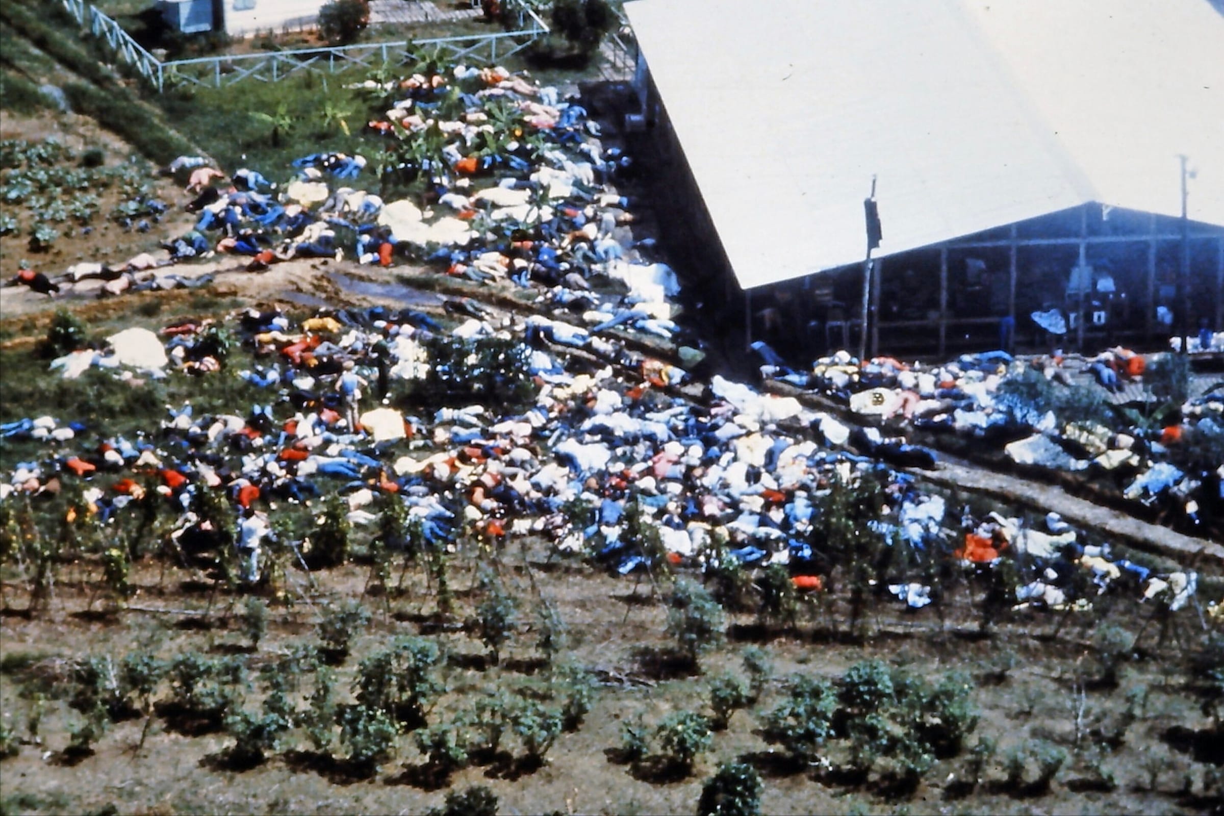 Jonestown: Cult Dynamics and Survivorship